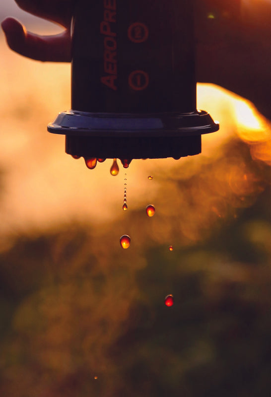 Bell Lane Coffee – Bell Lane Coffee Roaster